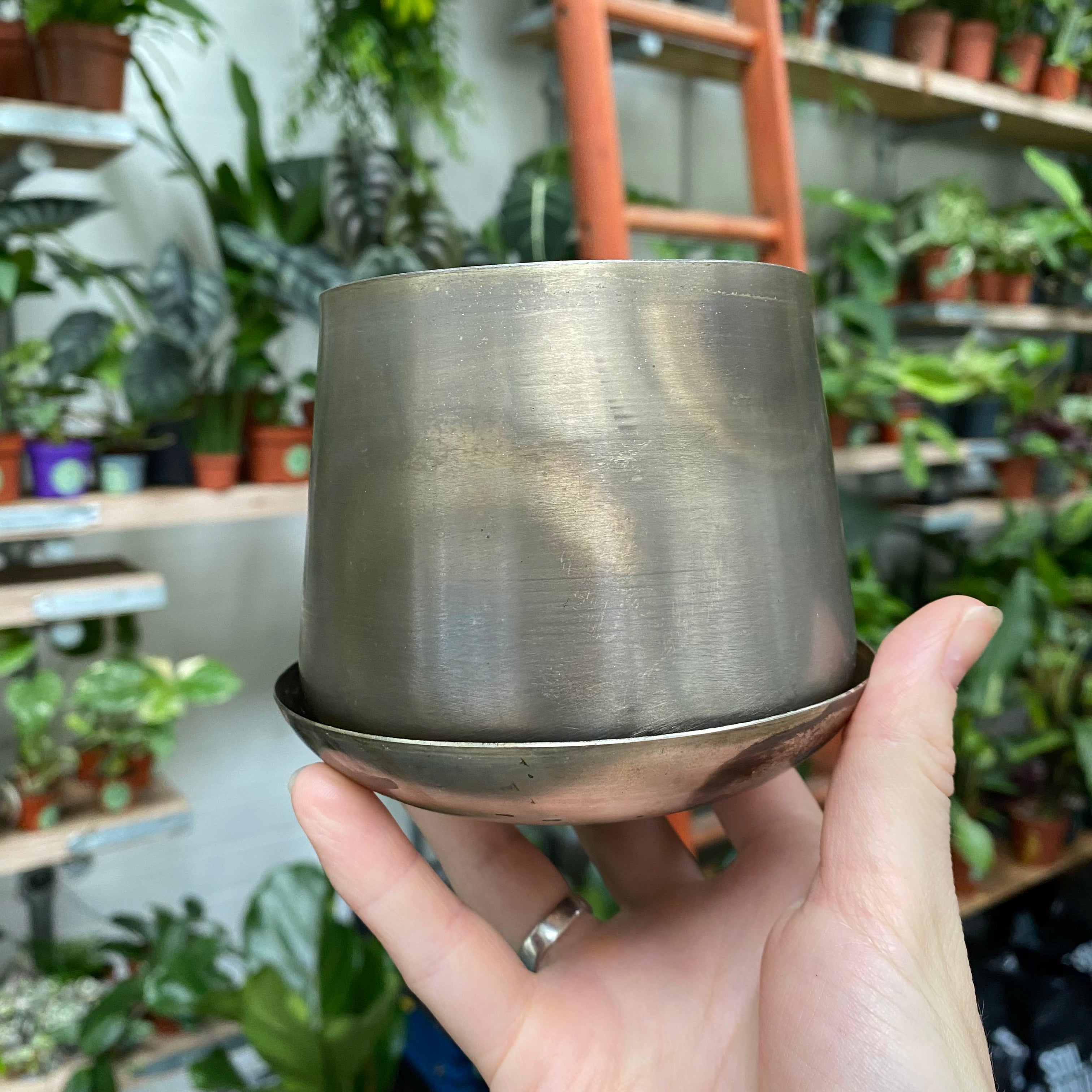 Pewter Plant Pot & Saucer – The Watered Garden