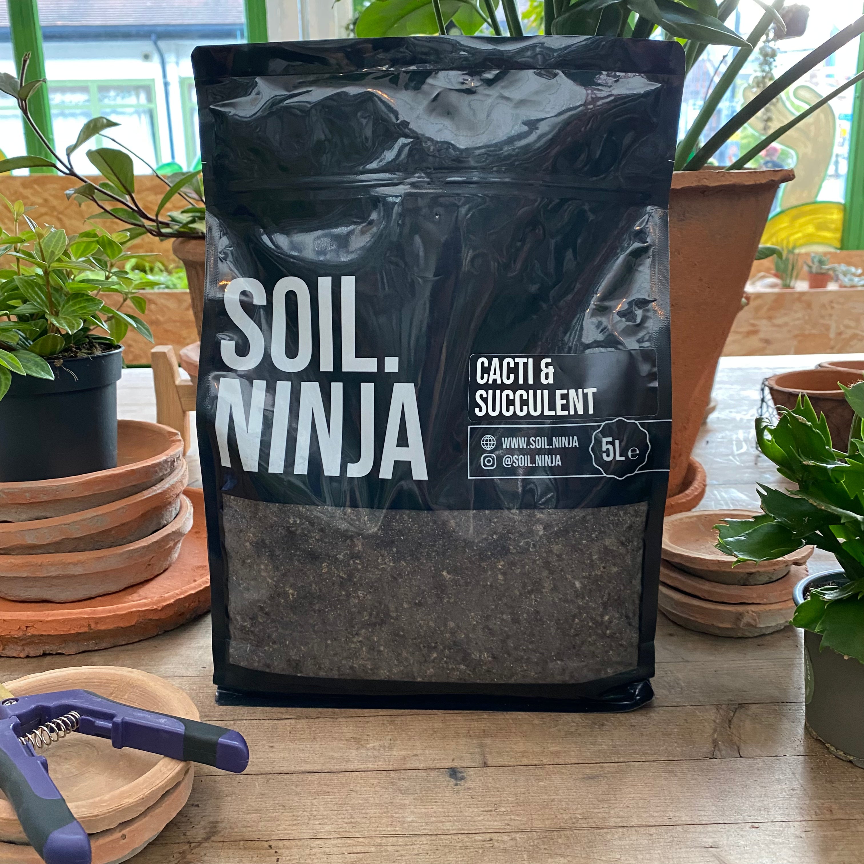 Cacti & Succulent Soil Mix – The Watered Garden